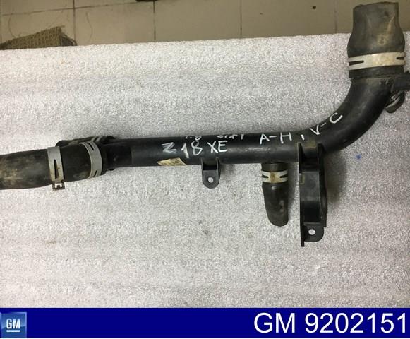 9202151 General Motors manguera refrigerante para radiador inferiora ...