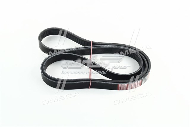 6PK1700 DONGIL correa trapezoidal