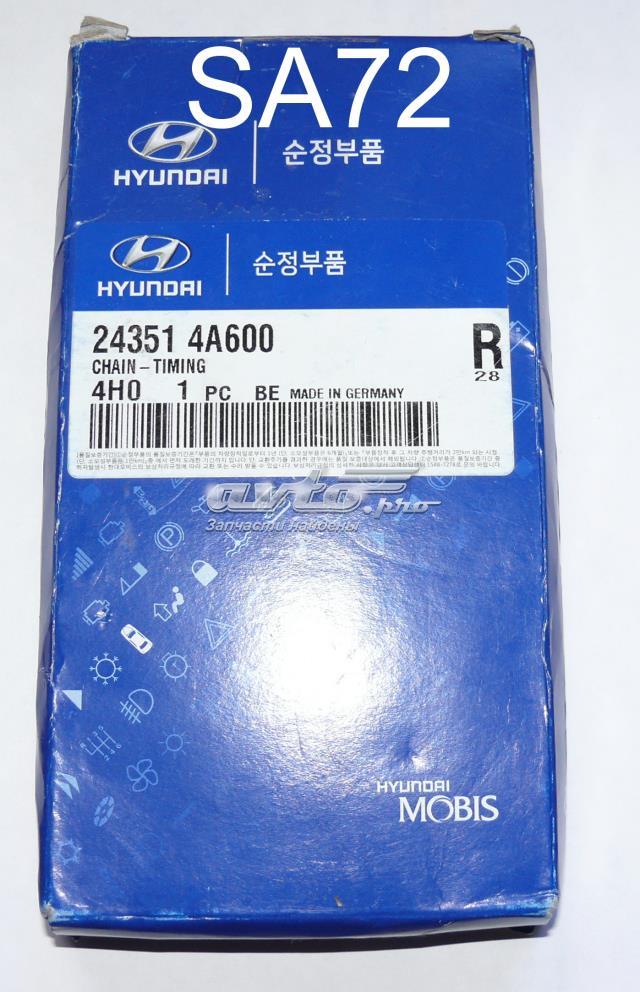 243514A600 Hyundai/Kia cadena de distribución