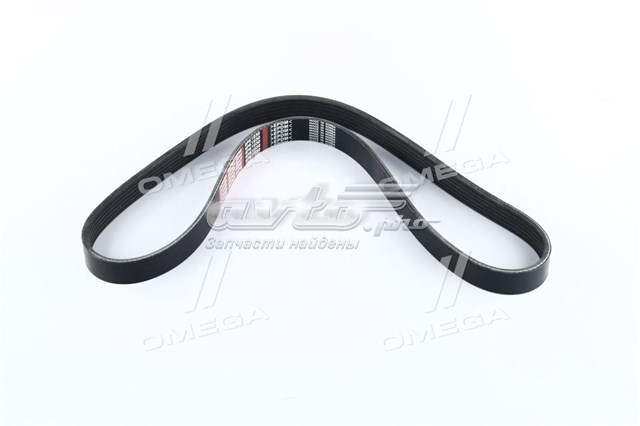 6PK1030 Dongil correa trapezoidal