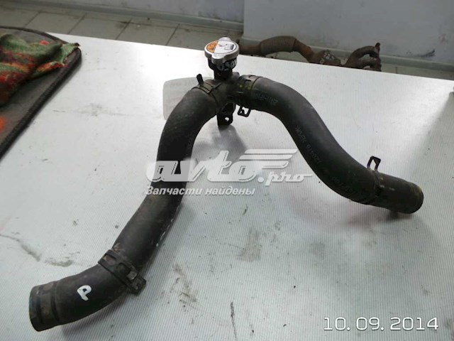 253291P100 Hyundai/Kia manguera (conducto del sistema de refrigeración ...