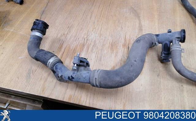 9804208380 Peugeot/Citroen mejor precio para Avtopro