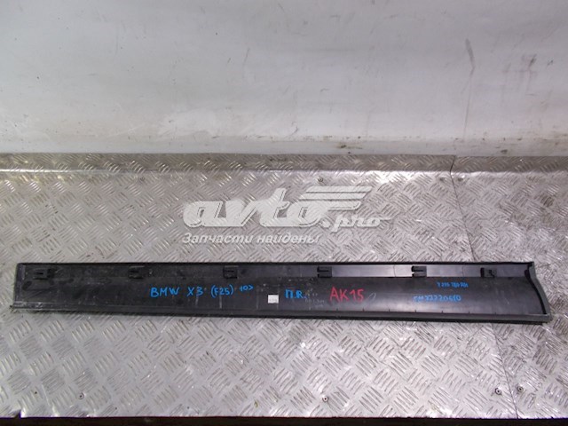 Moldura de puerta delantera derecha inferior de coche comprar online a ...