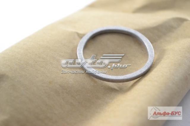 Junta de el tensor de la cadena de distribucion para Mercedes S (W220)