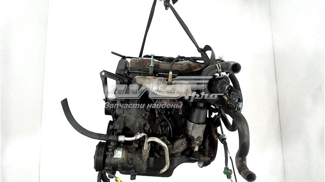 0135QA PEUGEOT/CITROEN motor completo