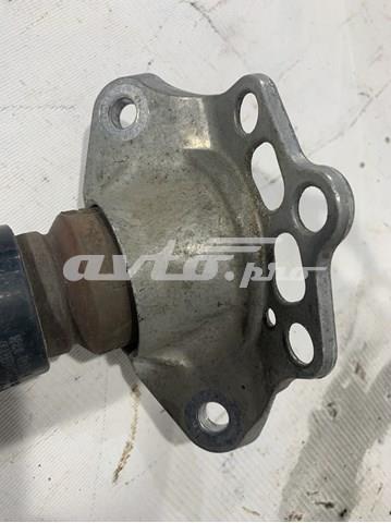 RS240965 RAISO Amortiguador trasero