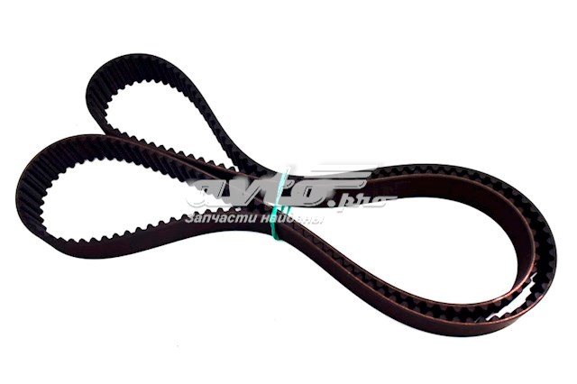 2431237500 Dongil correa dentada