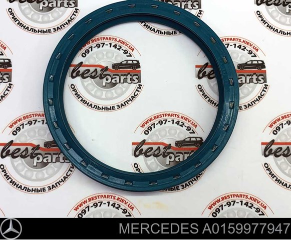 A0159977947 Mercedes anillo retén, cubo de rueda delantero exterior