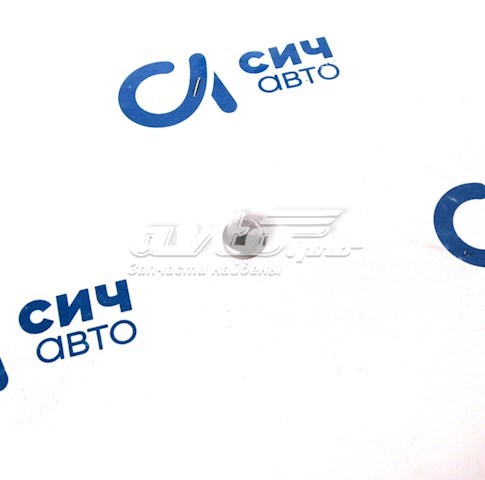 N000000004055 Mercedes tapón de culata