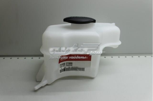 254302T000 Hyundai/Kia vaso de expansión